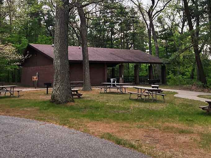 The picnic shelter where potato salad and family stories taste better under the shade of trees.