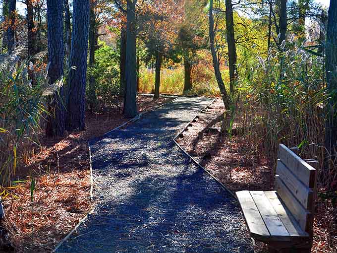 Autumn leaves carpet the path, crunching underfoot like nature's own welcome mat to serenity.
