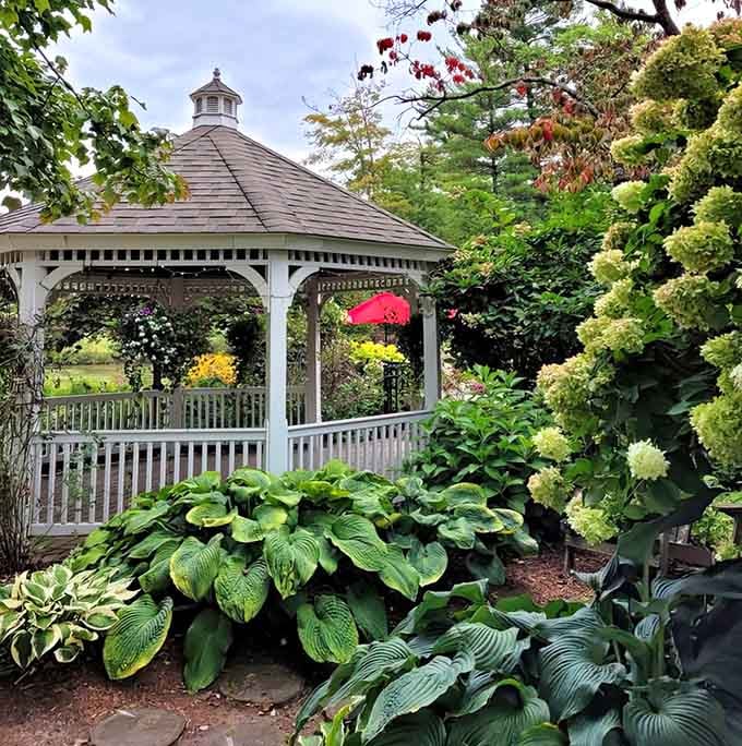 This gazebo surrounded by hostas is where people contemplate life's big questions, like why they don't visit more often.