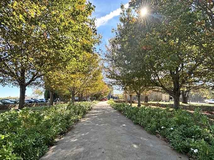 Tree-lined paths that invite leisurely strolls, deep thoughts, and the kind of walking pace your Fitbit finds deeply disappointing.