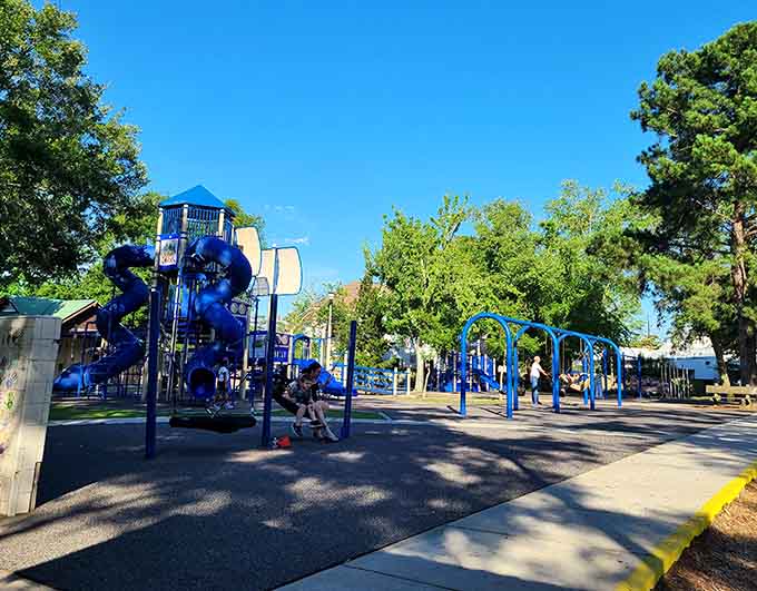A playground so impressive, it makes you wonder what they're putting in the Fairhope water supply.
