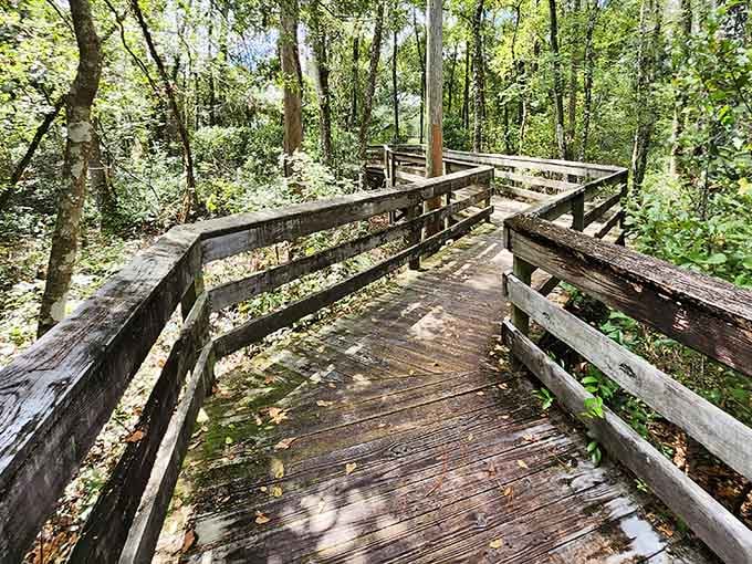 Wooden boardwalks keep your feet dry while letting you get up close with the creek's daily routine.