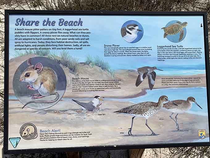 Learning about the local wildlife makes you appreciate this delicate ecosystem even more than the gorgeous views.