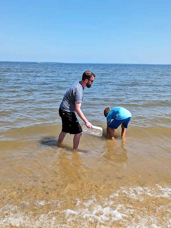 Fossil hunting becomes a family tradition here, where education and adventure meet in the best possible way for all ages.