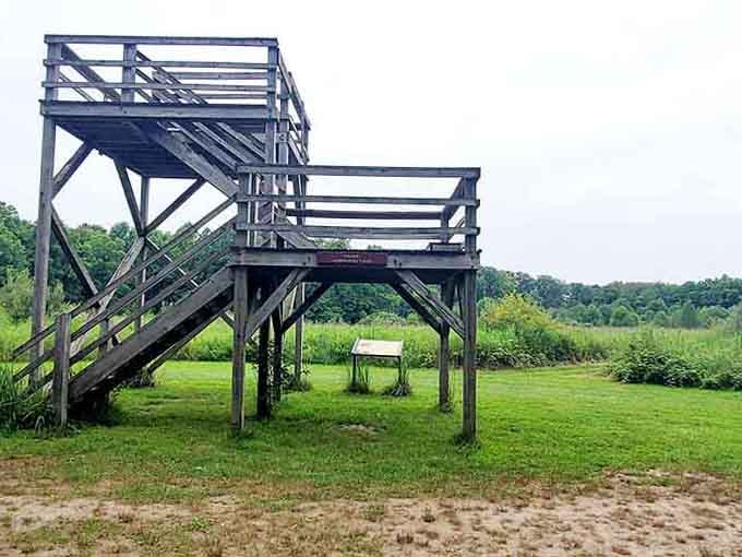 Observation towers offering views that'll make your Instagram followers question if you've left the country entirely.