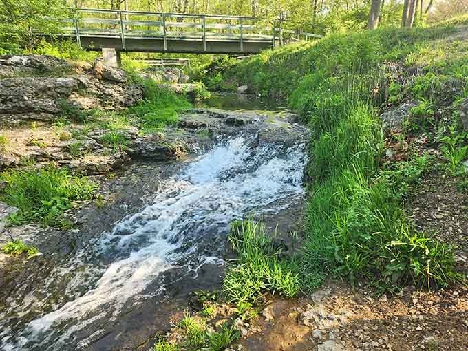 Spring runoff creates a rushing stream that sounds exactly like what relaxation would sound like if it made noise.