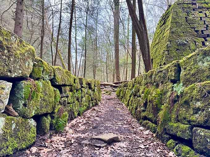 Moss-covered stone walls create a pathway that looks straight out of a fantasy novel illustration.