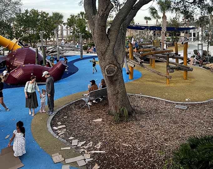 Multiple play zones spread across the space, offering something special for every age and energy level imaginable.