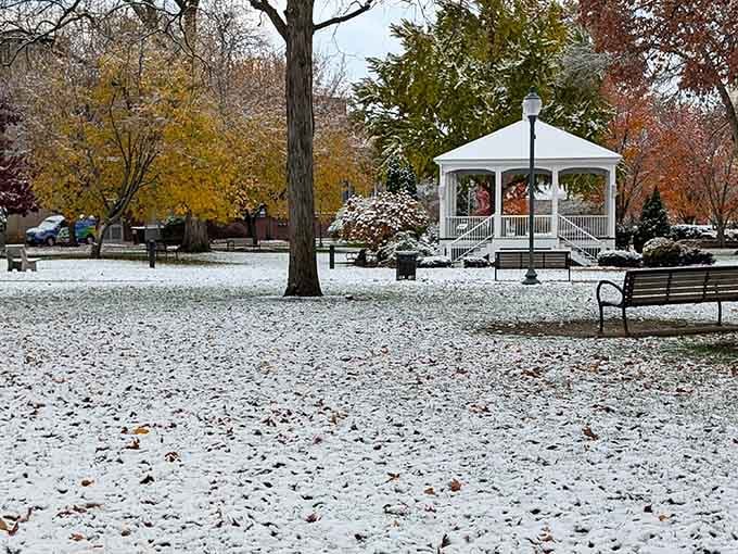 City Park in winter looks like a Hallmark movie set, minus the predictable plot and overly enthusiastic actors.