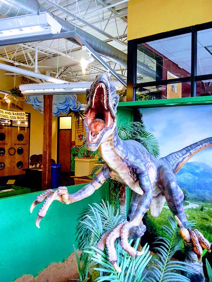This velociraptor display proves dinosaurs never go extinct in the hearts of children who love prehistoric creatures with big teeth.