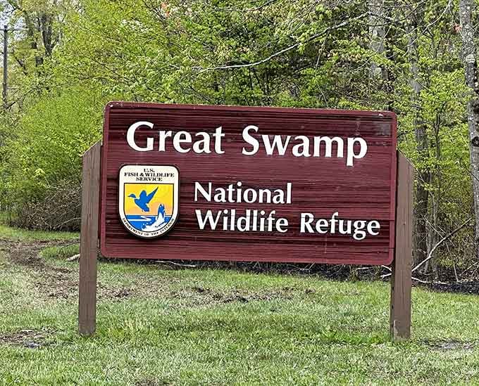 This classic wooden sign marks the gateway to 7,800 acres where wildlife rules and cell service gracefully bows out.