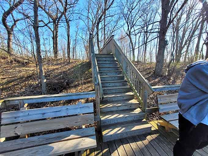 Wooden stairs leading to elevated views that'll make your Instagram followers seriously jealous of your weekend plans.