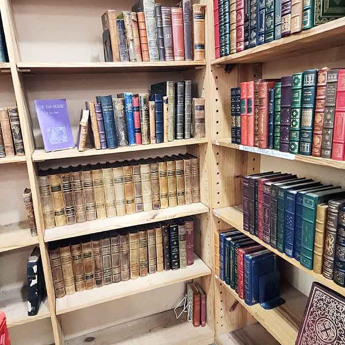 Leather-bound classics and antique volumes whisper stories of readers long gone but never forgotten.