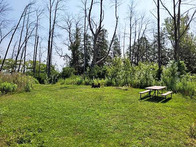 Sometimes the best picnic spot is just a table, some grass, and absolutely nobody bothering you.