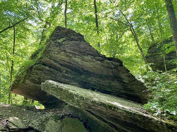 Geological forces created this dramatic rock formation over millennia, proving patience really does pay off eventually.