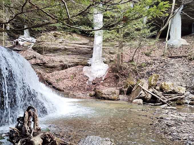 Frozen in time, the falls become an ice sculpture that would make Elsa jealous of nature's artistry.