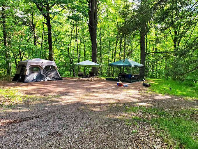 Your campsite awaits among the trees, offering that perfect blend of outdoor adventure and actual shelter from the elements.