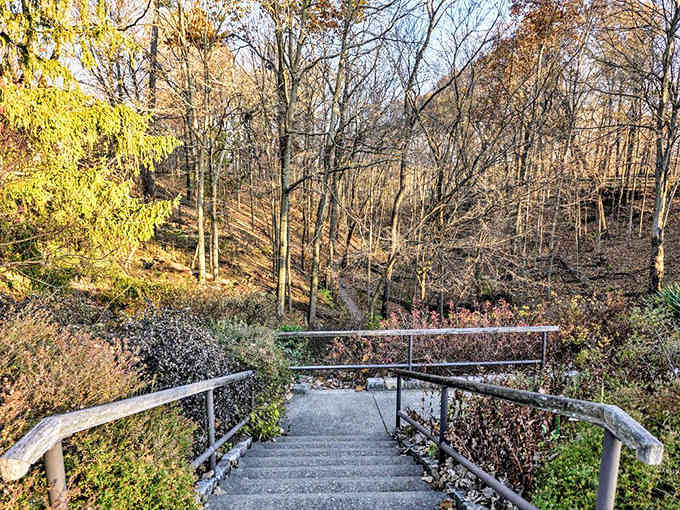 These stairs lead down to trails where the only traffic you'll encounter involves the occasional determined squirrel.