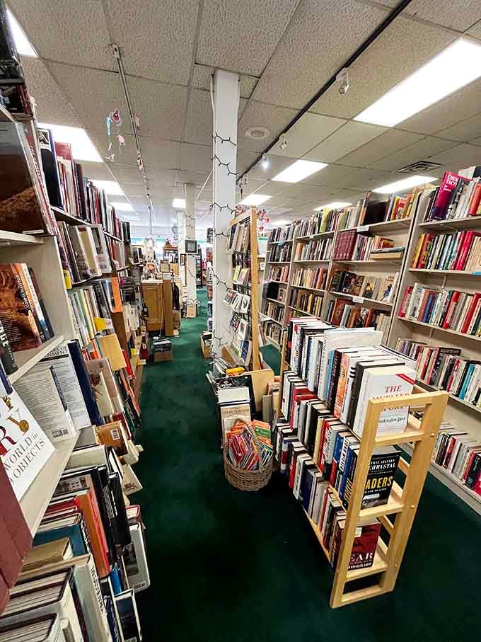 Looking down this aisle feels like gazing into infinity, if infinity were made of affordable paperbacks.