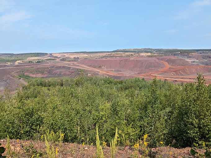 The lush forest frames this massive excavation, creating a contrast that's both jarring and strangely harmonious at once.