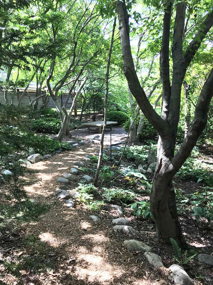 Shaded woodland paths wind through the garden, offering cool respite and excellent spots for quiet contemplation.