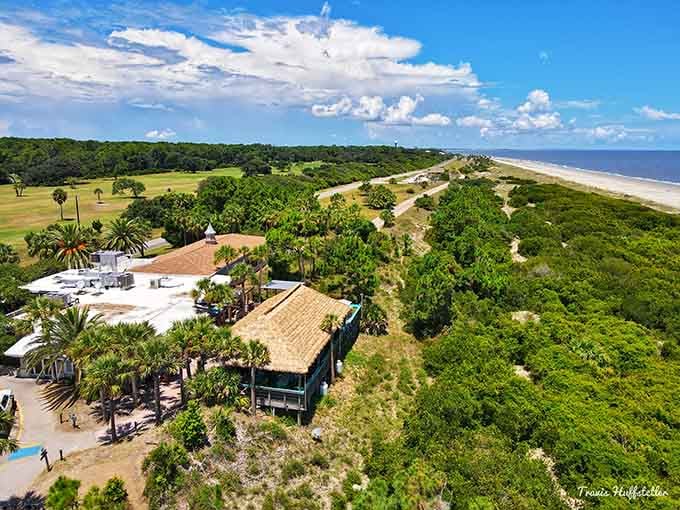 Coastal views stretch endlessly, where beach meets maritime forest in perfect harmony under endless Georgia skies.