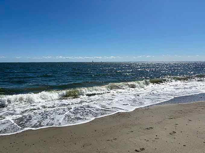 Waves roll in with just enough enthusiasm to be interesting without auditioning for a disaster movie.