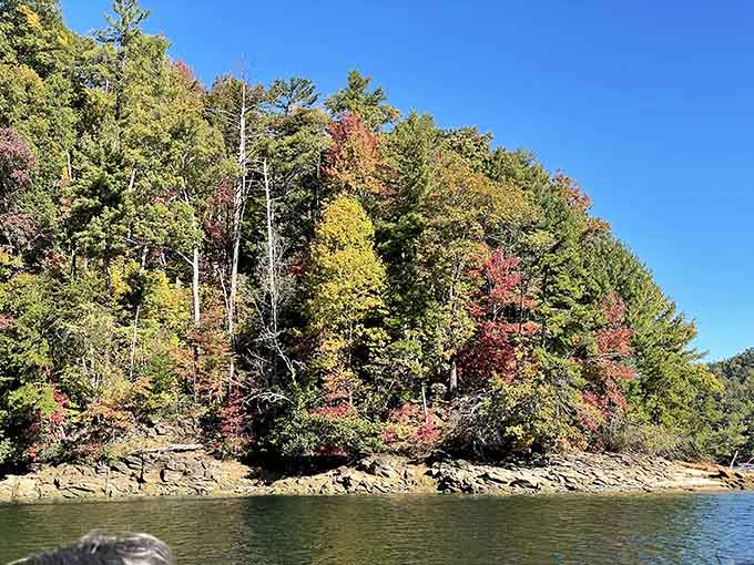 Fall foliage reflected in pristine water creates a color show that would make any painter weep with joy.