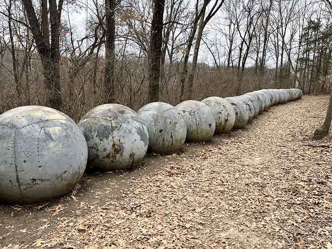 Concrete spheres lined up like the world's most artistic game of marbles waiting to happen in the woods.