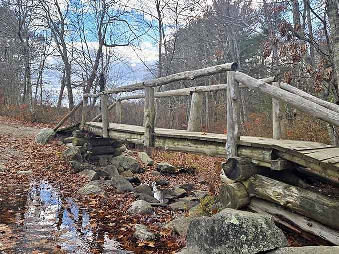 Rustic wooden bridges cross seasonal streams, adding just enough adventure without requiring athletic prowess whatsoever.