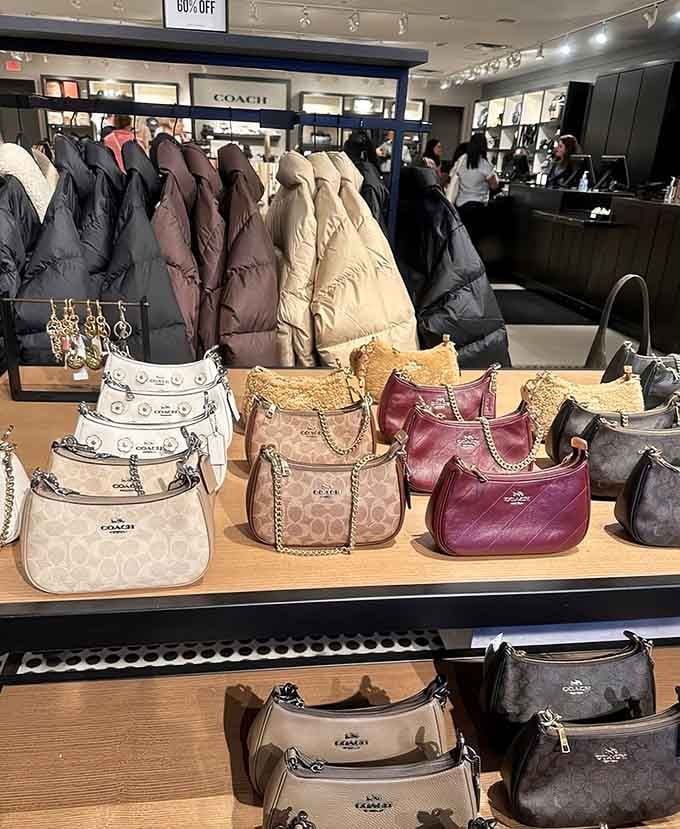 Coach bags lined up like luxury soldiers ready to march home with you at discounted prices.