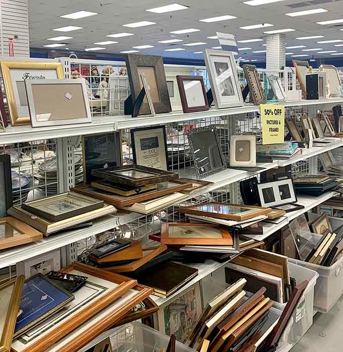 Picture frames galore, ready to showcase your memories without requiring a second mortgage to afford them.