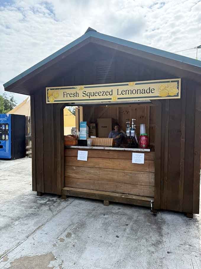 Fresh squeezed lemonade stand serving up cold refreshment when you need a break from all that donut eating.