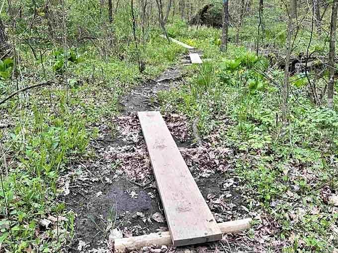 Simple wooden planks become bridges to adventure, proving the best infrastructure doesn't need a billion-dollar budget.