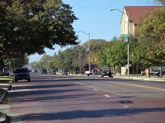 Wide boulevards shaded by mature trees create a canopy that makes every drive feel pleasant.