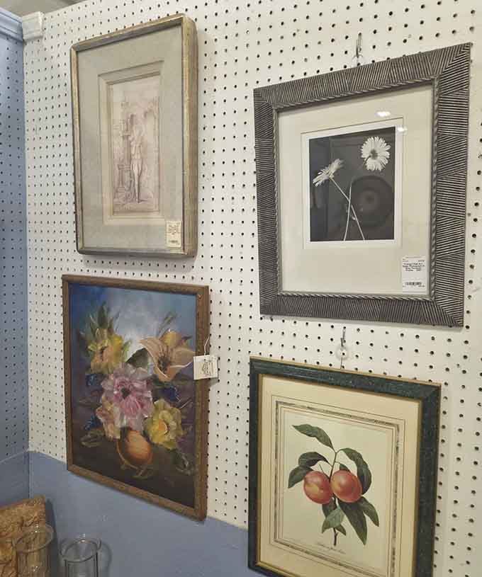 Framed art ranging from botanical prints to still lifes, each piece ready to elevate any blank wall.