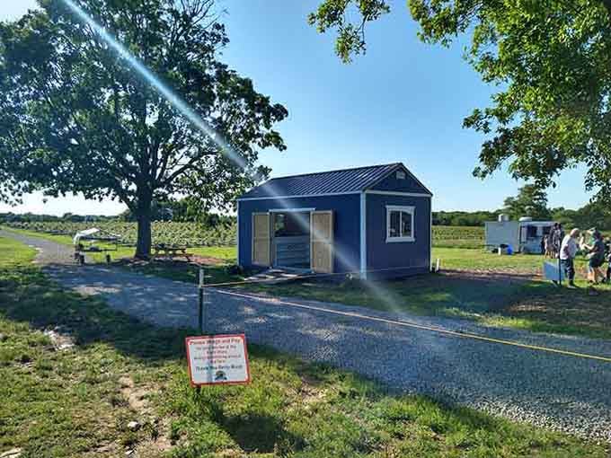 The farm store stands ready to weigh your haul and send you home with agricultural victory.
