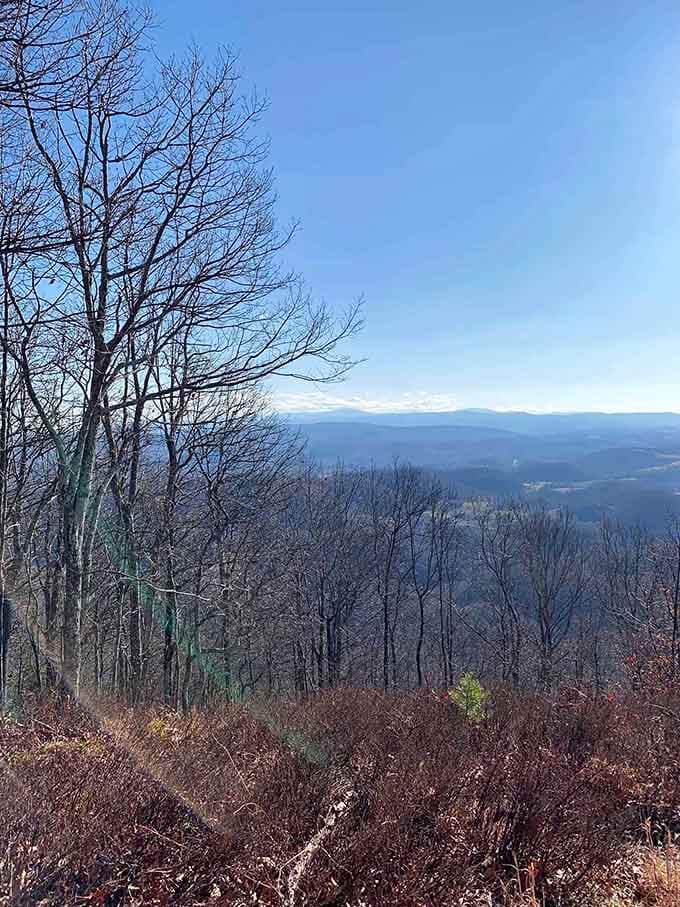 That crisp mountain air view that makes you understand why people write songs about these hills and never leave.