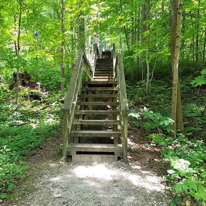Wooden stairs leading to ancient mysteries beat a StairMaster workout any day of the week.