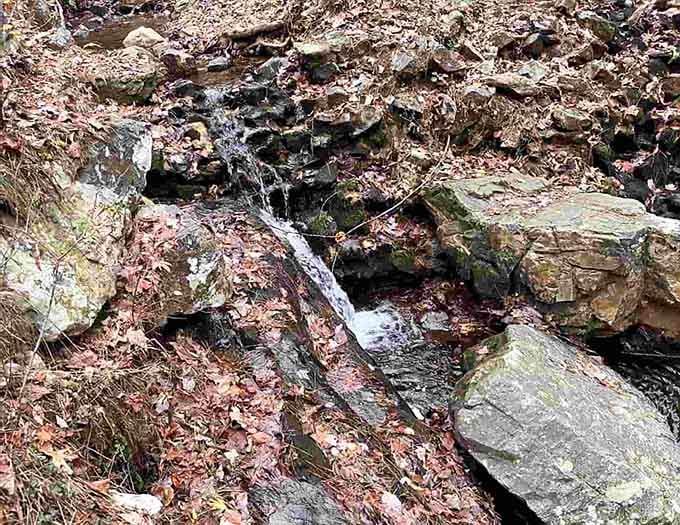 Small streams trickle over moss-covered rocks, creating the kind of peaceful soundtrack nature does best always.