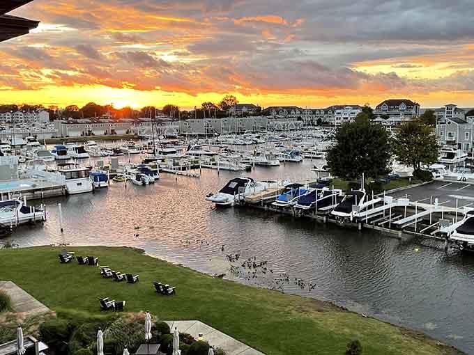 Sunsets over the marina that make you forget every complaint you had about the drive getting here.