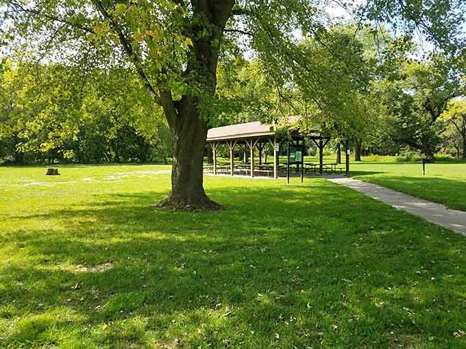 Perfect picnic spots where nature provides the ambiance and you provide the sandwiches.
