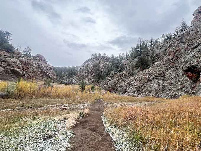 The trail beckons you forward through golden grasses, promising rewards that make every step completely worthwhile.