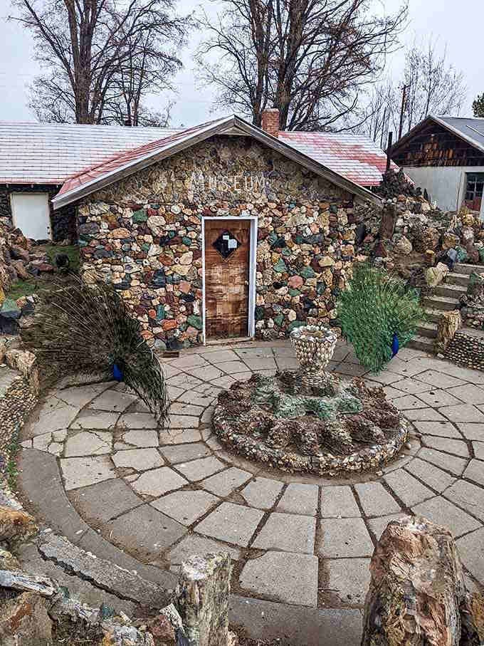 The museum entrance welcomes visitors with peacock greeters who clearly understand they're part of the attraction's quirky charm.