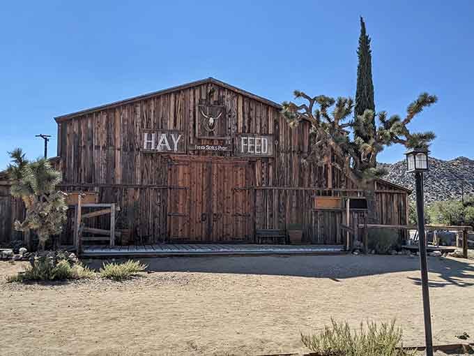 The massive hay and feed barn towers over the street, its vintage signage still commanding attention after all these years.