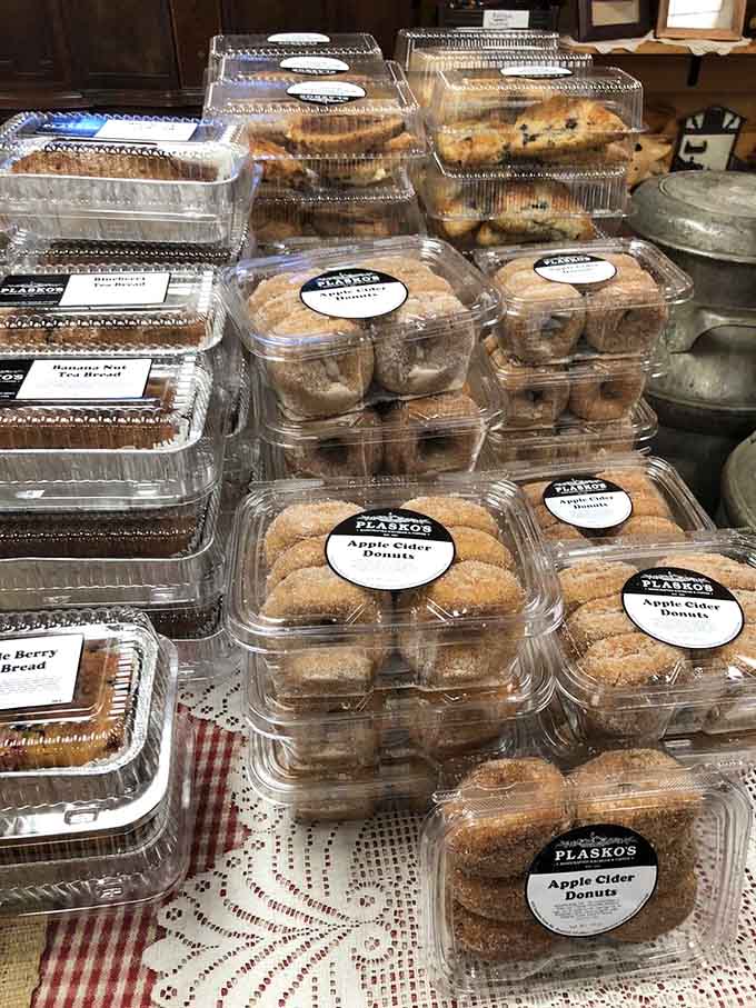 Apple cider donuts lined up like sweet soldiers ready to complement your ice cream with autumn perfection.