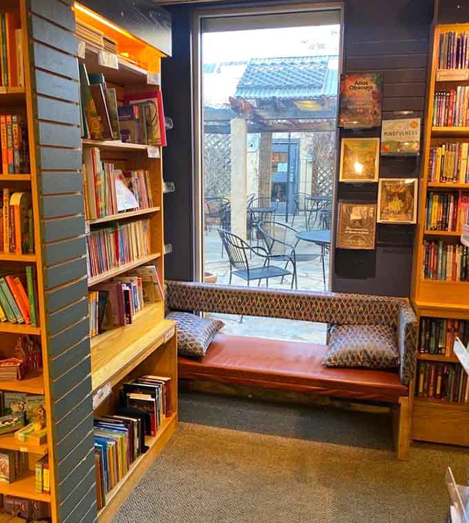 Window-side reading nook with a view, perfect for losing track of time while finding yourself in stories.