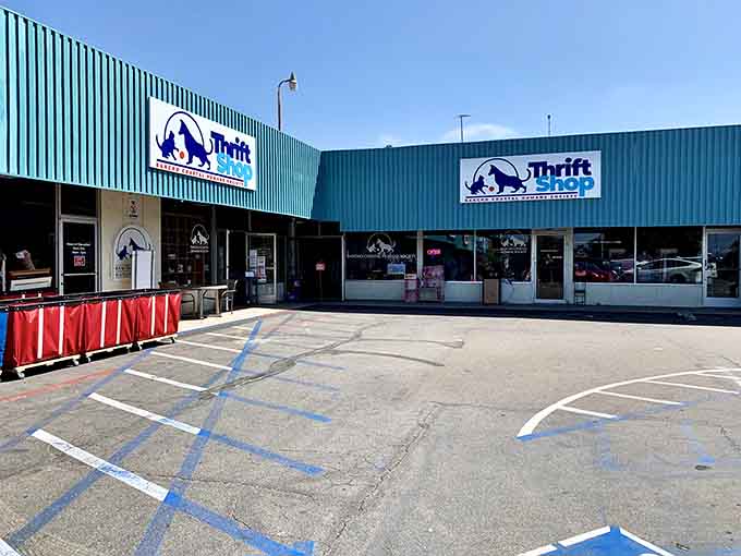 The storefront welcomes you with ample parking, because finding treasures shouldn't require circling the block seventeen times.