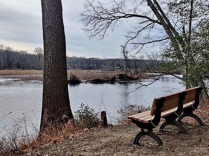 Benches positioned for maximum creek-gazing potential, ideal for thinking deep thoughts or absolutely nothing at all.