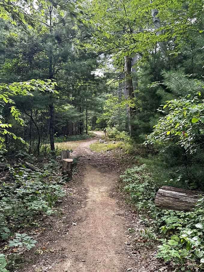 Gentle curves and soft earth underfoot make this trail perfect for contemplative walks and meaningful conversations with yourself.